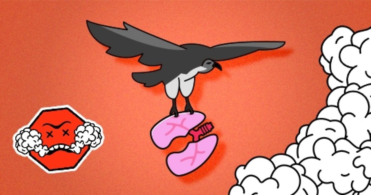 Join the battle to end vaping!